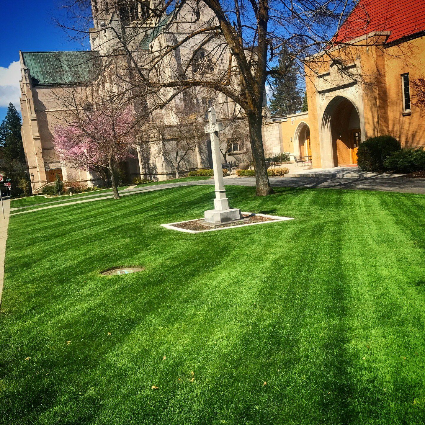 Landscaping 101: Your Complete Guide to a Beautiful Yard